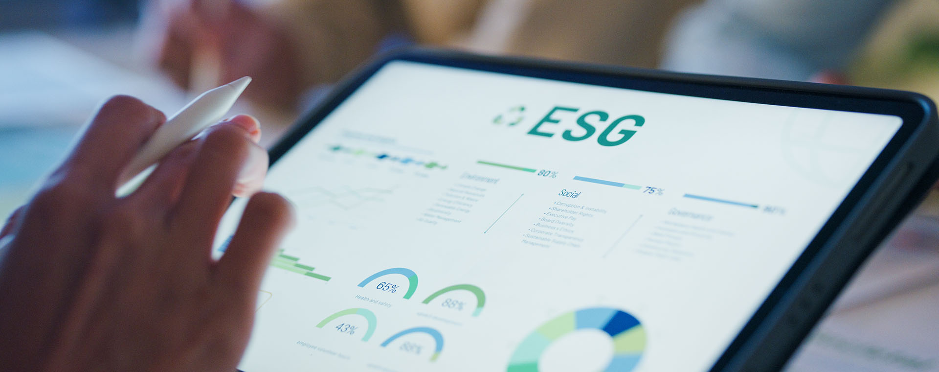 Sustainability Communication | EMG